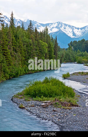 USA Alaska Spruce forest and snow covered ridgeline in Chugach Range ...