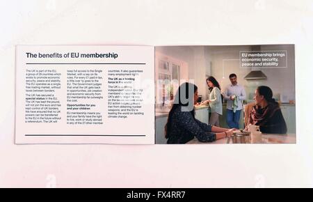 EU referendum campaign leaflets delivered to UK residents, Britain ...