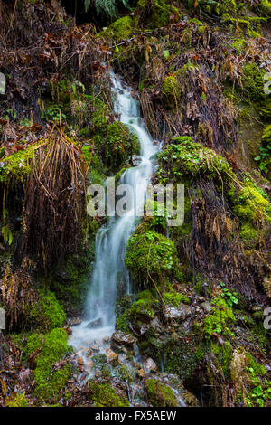 Small river creek with cascading waterfalls in beautiful fall forest ...