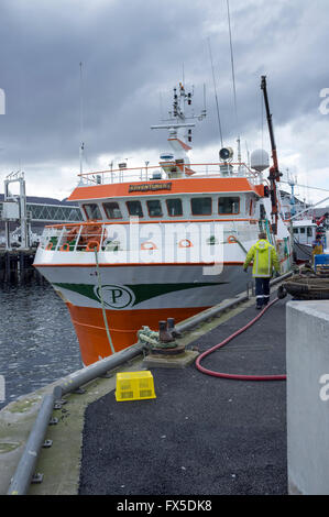 A forklift and lorry unloading a catch from a fishing vessel, the Paul ...