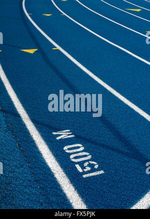 Blue Running Track with White Lane Numbers in Outdoor Stadium Stock ...