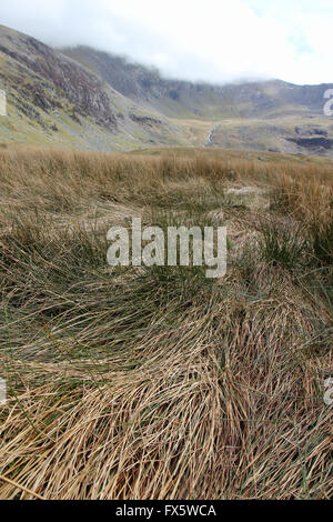 Snowdon Ranger track, Snowdonia National Park, Wales Stock Photo - Alamy
