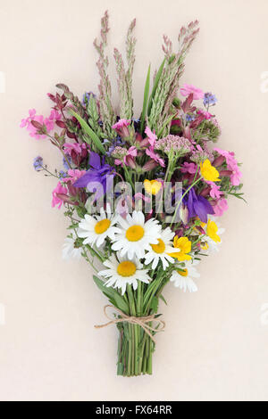 Mottled pink and cream rose flower isolated on white background Stock ...