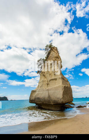 Rock formation at coastline, Pacific Rim National Park Reserve, British ...