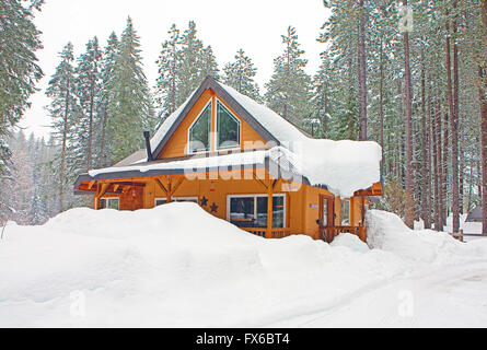 Modern wood cabin in snowy forest Stock Photo - Alamy