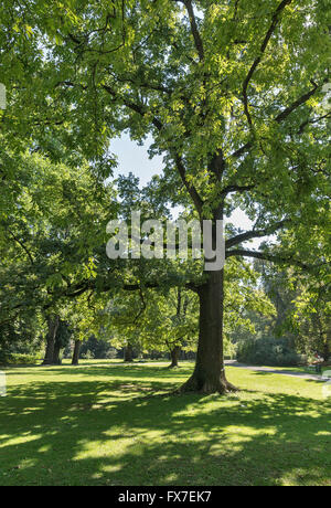 Stadt park landscape in Graz, Austria Stock Photo - Alamy
