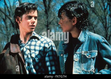 The Outsiders Year : 1983 USA Director : Francis Ford Coppola Leif ...