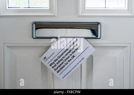 EU Referendum 2016 Government Information Leaflet Stock Photo - Alamy