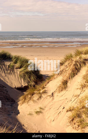 Ynyslas Sand Dunes are part of the Dyfi National Nature Reserve Stock ...