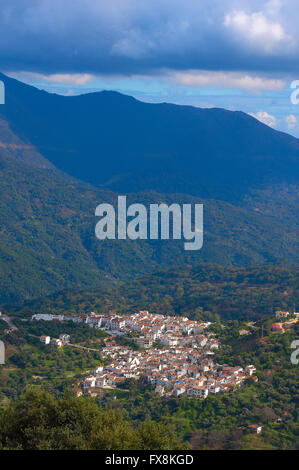 Benarraba, Serran’a de Ronda. Genal Valley, M‡laga province, Andalusia ...