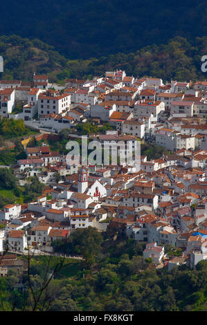 Benarraba, Serran’a de Ronda. Genal Valley, M‡laga province, Andalusia ...