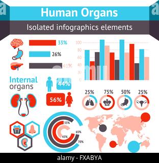 Human internal organs infographics with information about digestive ...