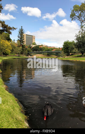 Adelaide and the River Torrens Stock Photo - Alamy