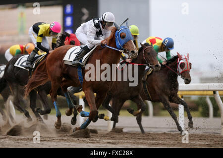 Funabashi, Chiba, Japan. 13th Apr, 2016. Nanako Fujita Horse Racing ...