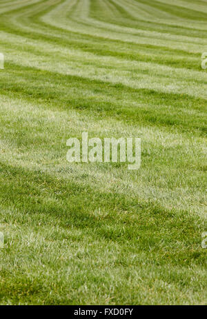 Horse race track with curve line. Horizontal format Stock Photo - Alamy