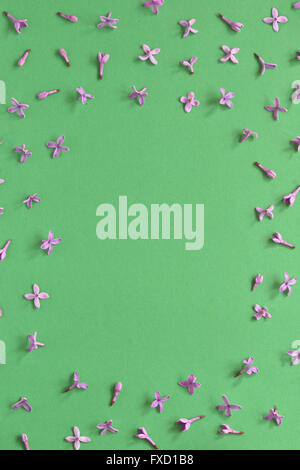 lilac flowers on green background Stock Photo - Alamy