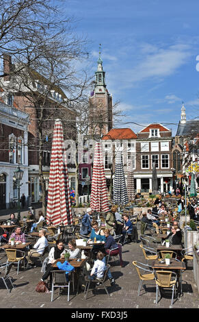 the hague in the netherlands Stock Photo - Alamy