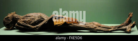 Pazyryk culture. Scythian Iron Age archaeological culture. 6th-3rd ...