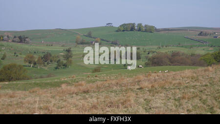 The Cheviot Hills near Bellingham, Northumberland, England UK Stock ...
