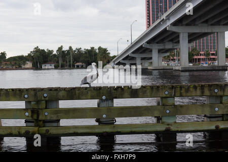 Edison Bridge- Caloosahatchee River, Fort Myers, Fla. , Bridges ...