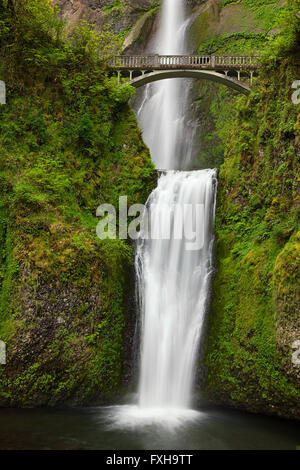 Multnomah Falls waterfall Benson Footbridge bridge Columbia River Gorge ...