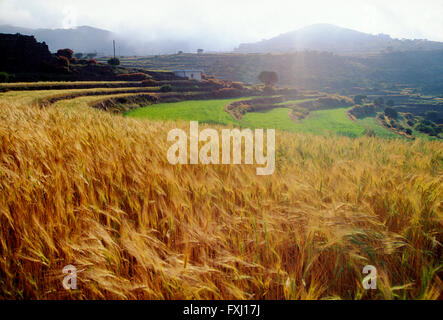 Asir Saudi Arabia Fertile Countryside Stock Photo - Alamy