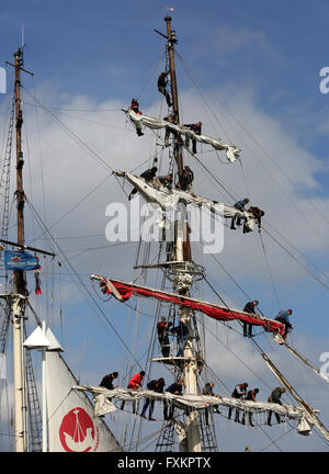 The sail training ship 'Greif' getting rigged at the city harbour of ...