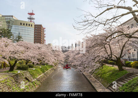 Matsukawa River and Cherry Blossoms, Toyama, Toyama, Japan Stock Photo ...