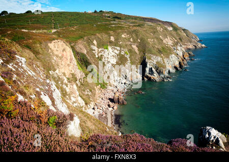 The Howth Peninsula, Dublin, The Fauna and flora in macro and close-up ...