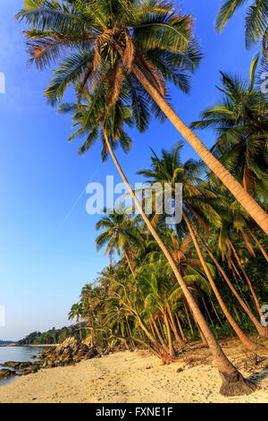 Gorgeous Taling Ngam Beach at evening, in Samui, Thailand Stock Photo ...