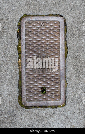 Cast iron water meter cover in St. Louis, Missouri Stock Photo - Alamy