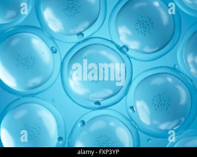 Human cells, computer illustration Stock Photo - Alamy