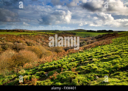 Devil's Leap; Brown Willy in Distance; Bodmin Moor; Cornwall; UK Stock ...