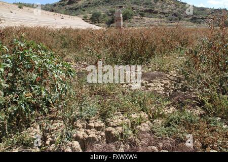 Avis dam, Windhoek, Namibia Stock Photo - Alamy