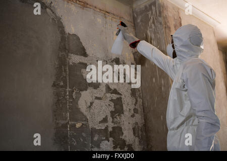 Man doing pest control on a wall Stock Photo - Alamy