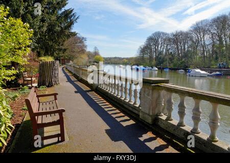Riverside at Radnor Gardens ,Twickenham ,West London Stock Photo - Alamy