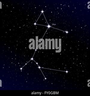 Canis Major (The Great Dog) constellation, vector illustration with the ...