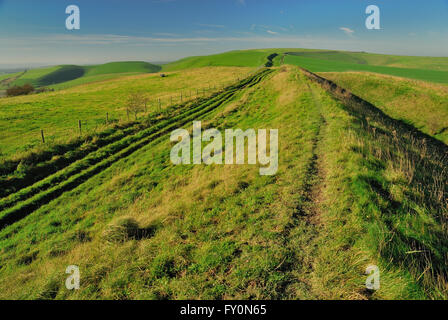 Ditch and embankment of the Wansdyke a Saxon defensive structure on All ...