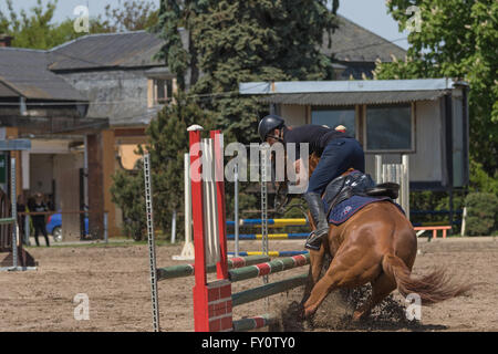 The brown horse is refusing to jump an obstacle, over a jump rider ...