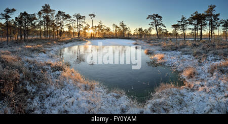 Sunrise in the frosty bog Stock Photo - Alamy