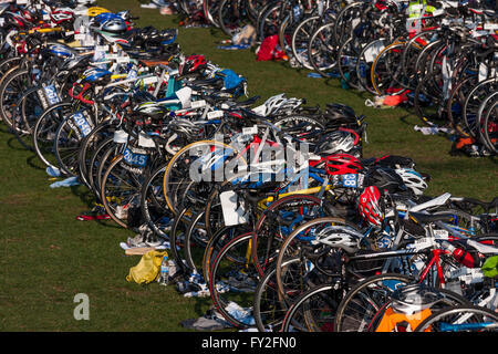 Bicycles compound in the place of transition, during the triathlon of ...