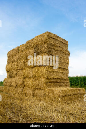 Straw stack on a stubble field in the sunshine Stock Photo - Alamy