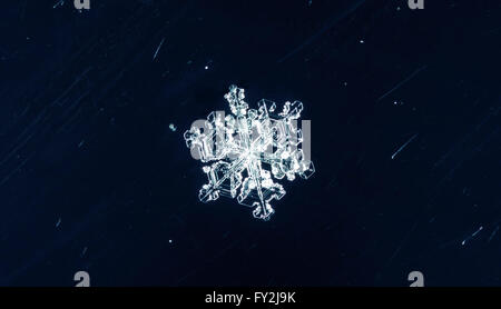 real snowflakes in color lighting Stock Photo - Alamy