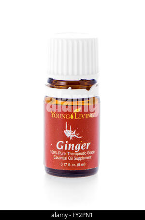 Ginger Essential oil Stock Photo - Alamy
