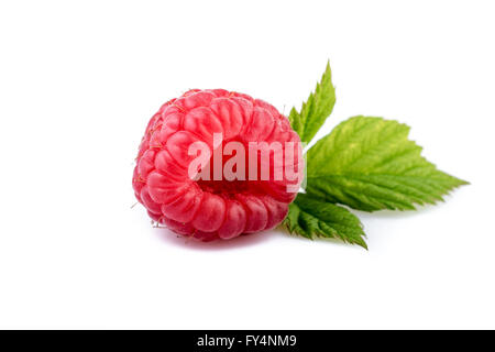 One fresh tasty raspberry isolated on white Stock Photo - Alamy