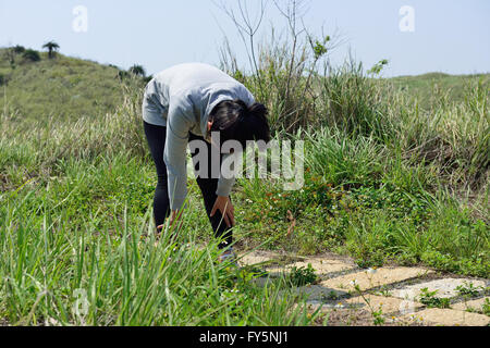 Exercise regularly and eat a healthy , balanced diet Stock Photo - Alamy
