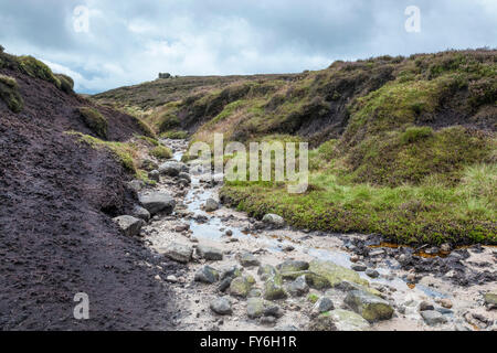 A peat hag formed through erosion of moorland, Kinder Scout, Derbyshire ...