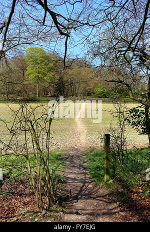 ploughed field and blue sky landscape Stock Photo - Alamy