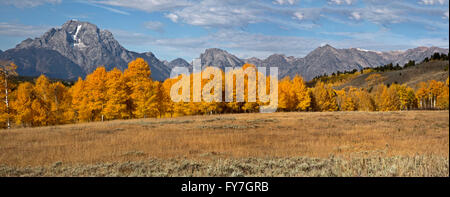 Mount Moran and the northern Teton Mountains rising above a log of ...