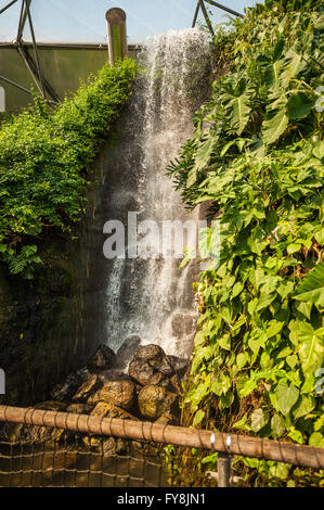 Waterfall Eden Project Cornwall South England Stock Photo - Alamy
